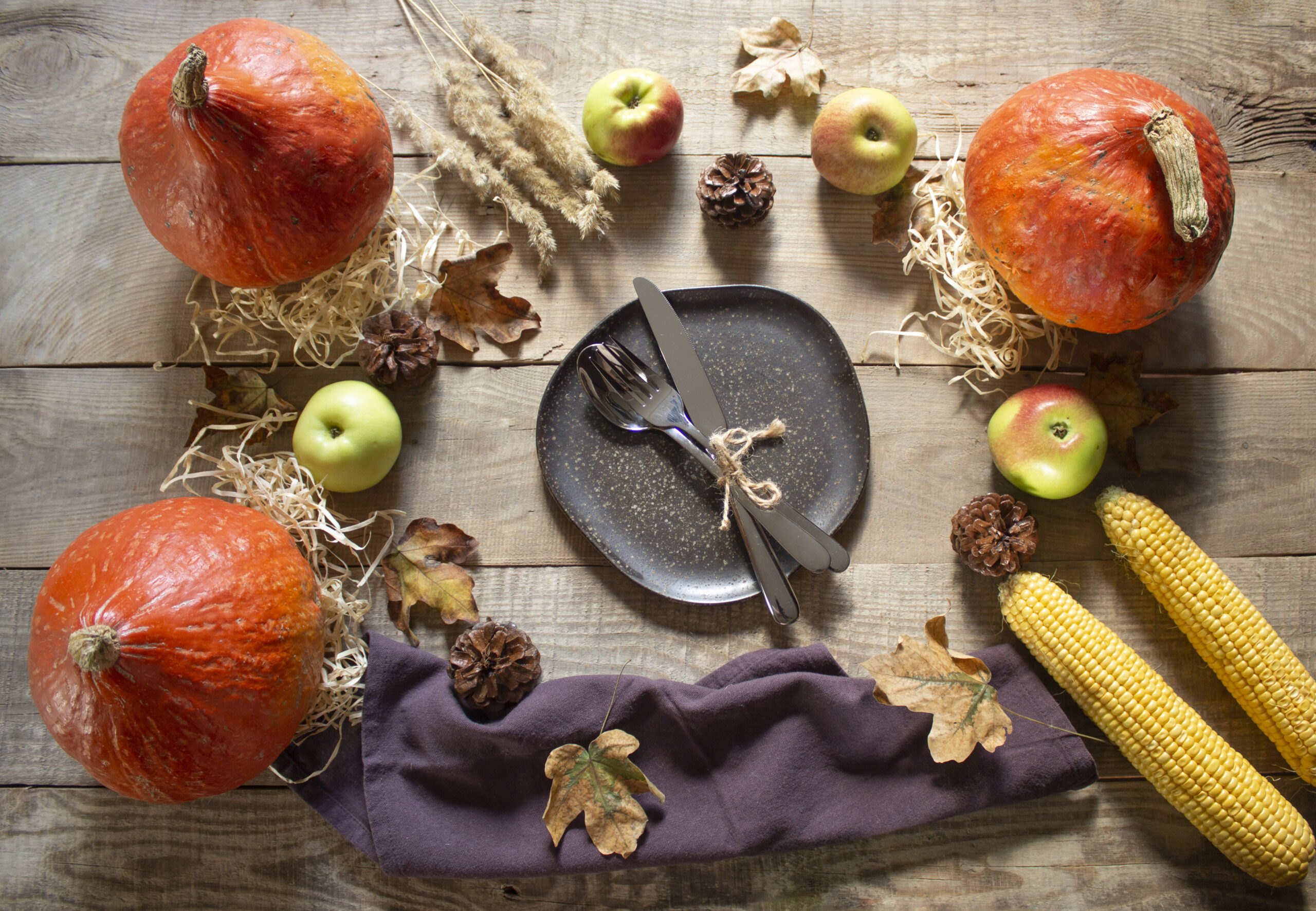 Wilderness Thanksgiving: Nature's Holiday Celebration - Wild Survival 101