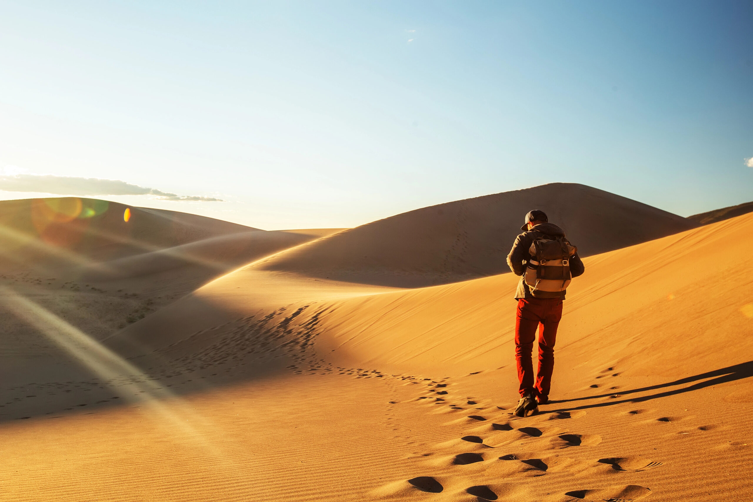 Essential Desert Survival Skills: Nature's Unforgiving Classroom - Wild ...