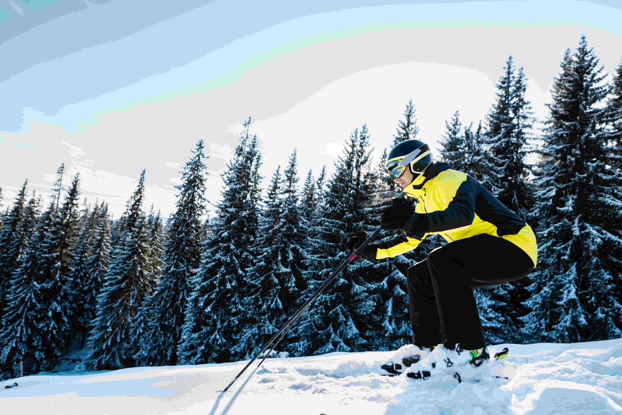 Wild Survival | Learn Essential Wilderness Skills